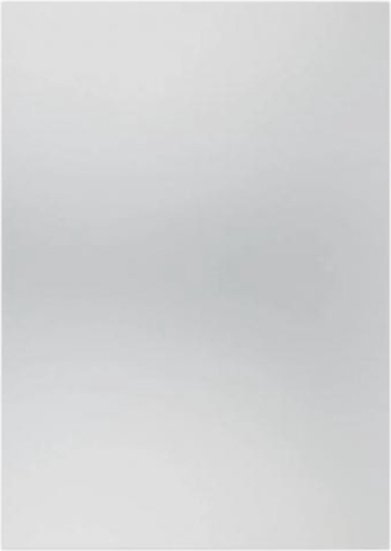 Silver - Metallic Cardstock | bol