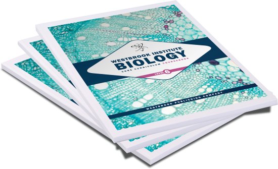 Bindomatic Pack 12 mm POD Wit | 10 stuks | bol.com