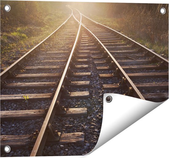 Gards Tuinposter Twee Kruisende Rails Spoorwegen - 50x40 cm - Tuindoek ...