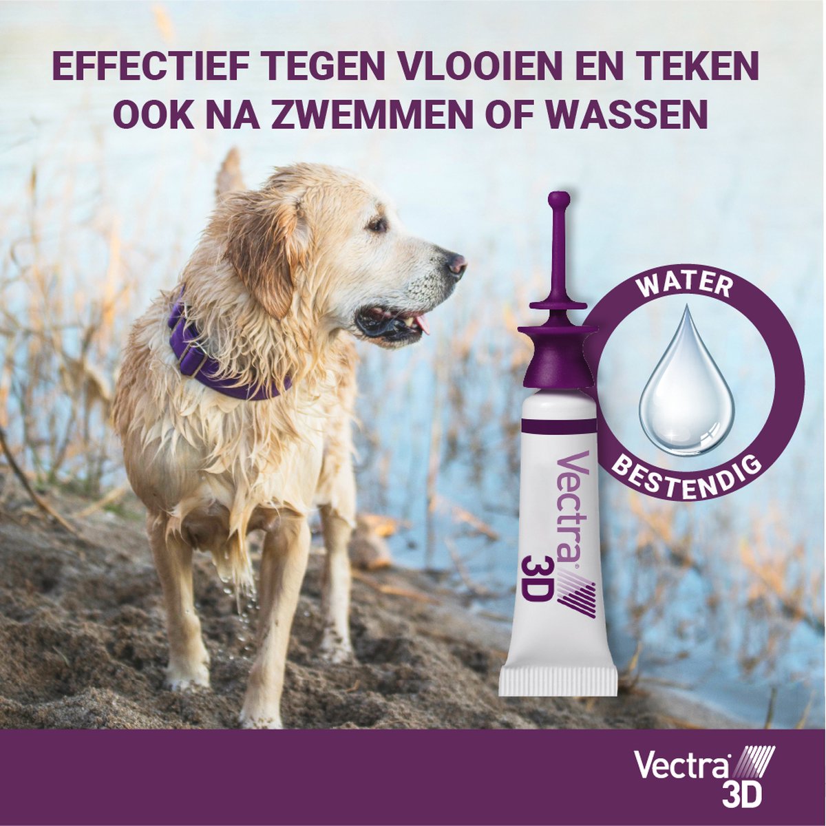 VECTRA 3D Hond - 1.5 tot 4 kg - Anti Vlooien- en Tekendruppels - 3 ...
