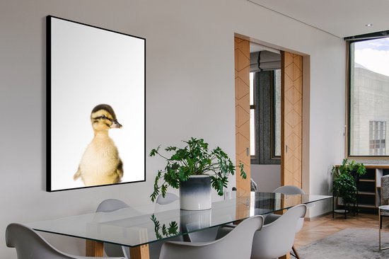 Eend - Geel - Dieren - Natuur | bol.com