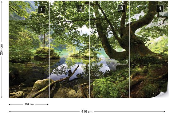 Fotobehang - Vlies Behang - Grote Boom in het Bos bij het Water - 416 x ...