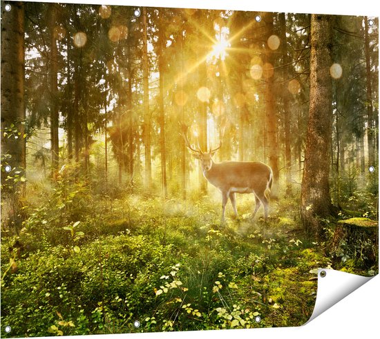 Gards Tuinposter Hert in Bos met Zon - 120x90 cm - Tuindoek ...