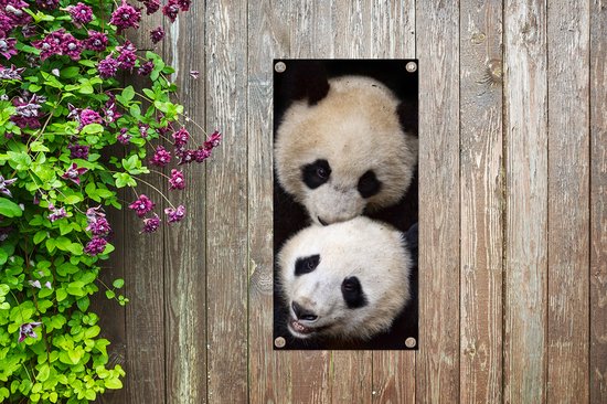 Poster de jardin Panda - Amis des animaux - Zwart - 30x60 cm - Toile de ...