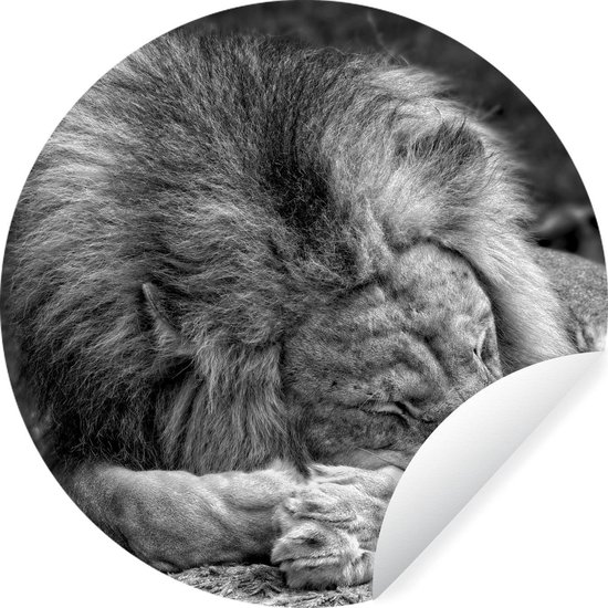 WallCircle - Muurstickers - Behangcirkel - Leeuw - Afrika - Zwart - 80x80 cm -... | bol