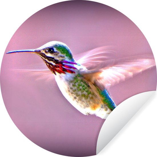 WallCircle - Muurstickers - Behangcirkel - Kolibrie - Schilderij - Paars - ⌀ 140 cm -... | bol