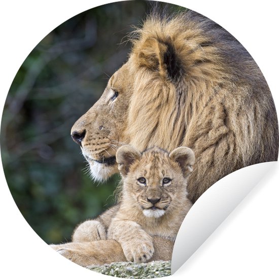 WallCircle - Muurstickers - Behangcirkel - Volwassen leeuw met jong - 80x80 cm -... | bol