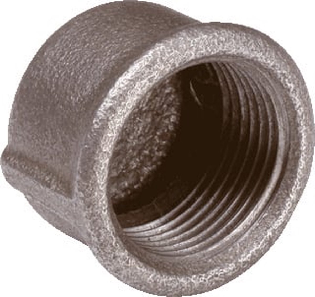 Nefit Industrial draadfitting met 1 aansluiting rand zw 301, gietijzer ...