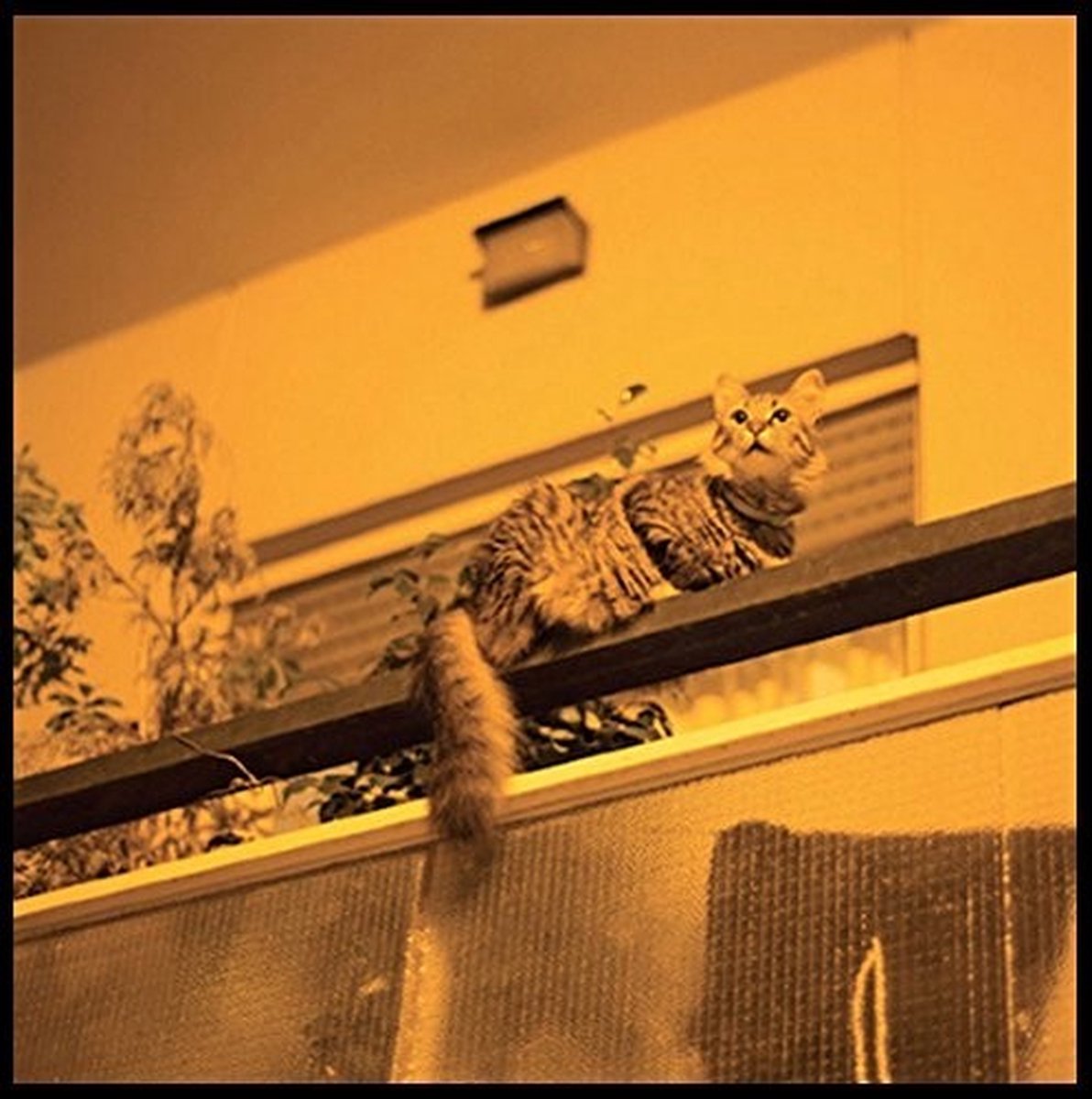 Sam Prekop - The Republic (LP), Sam Prekop | LP (album) | Muziek | bol