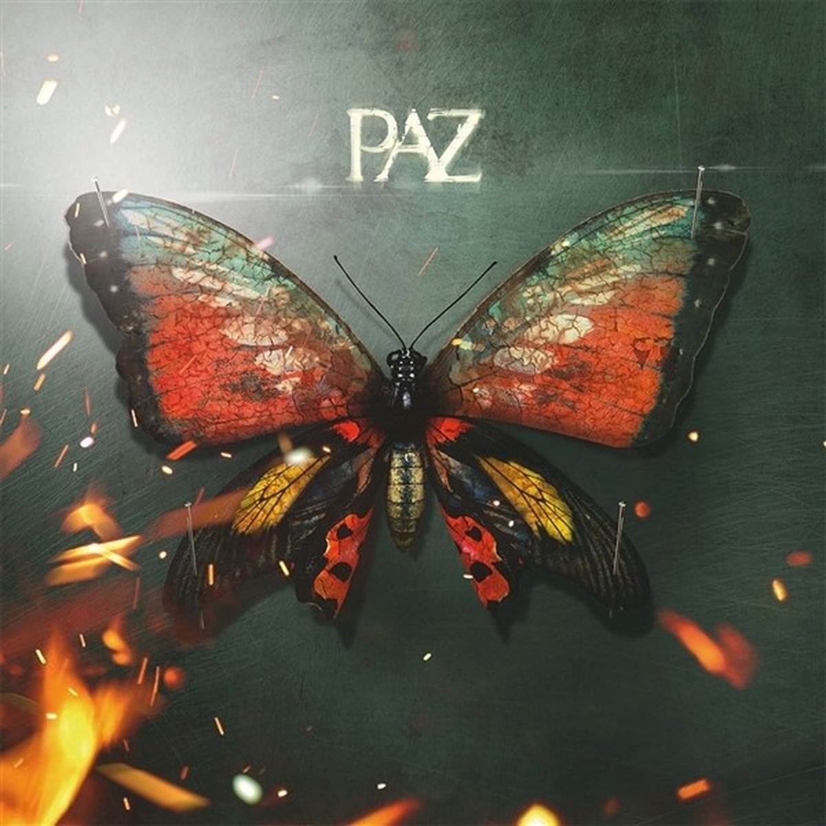 Paz - Paz (LP), Paz | LP (album) | Muziek | bol