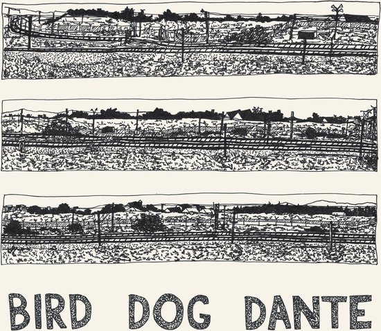 John Parish - Bird Dog Dante (CD), John Parish | Muziek | bol