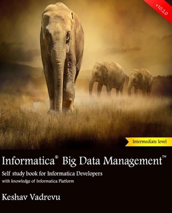 Informatica Platform- Informatica Big Data Management, Keshav Vadrevu | 9781984140739... | bol