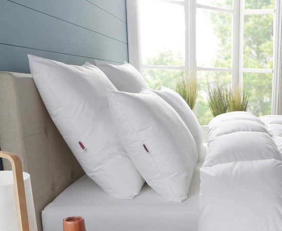 Pillow Dodo Wolke de Douceur 50/70 - Zacht en Comfortabel Donskussen | bol