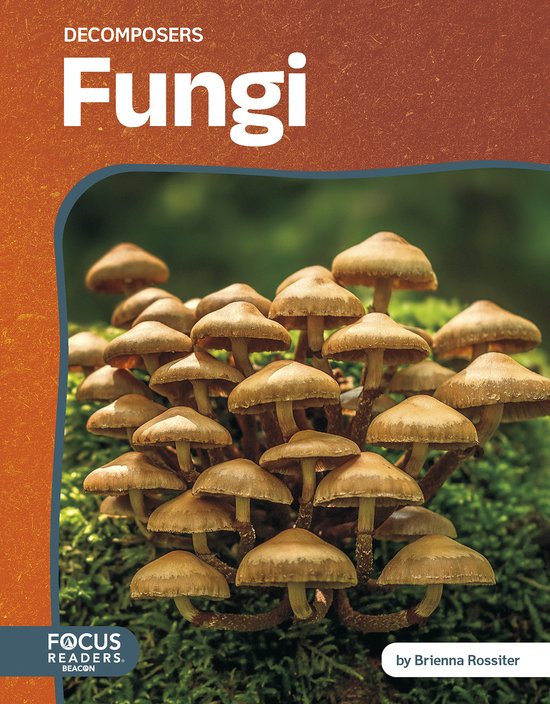 Decomposers- Fungi | 9798889983989 | Brienna Rossiter | Boeken | bol