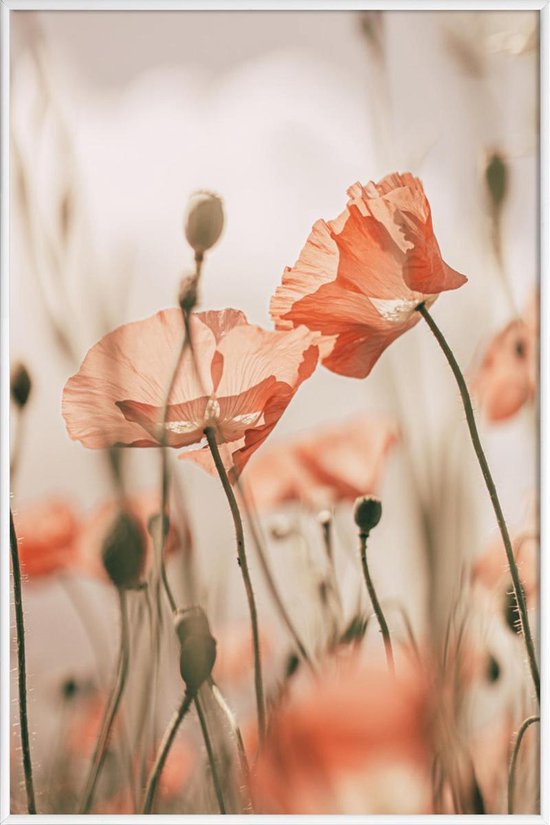 JUNIQE - Poster in kunststof lijst Sunkissed Flowers 1 -30x45 /Grijs ...