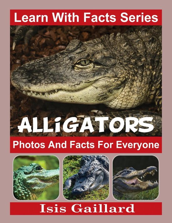 Learn With Facts Series 36 - Alligators Photos and Facts for Everyone ...