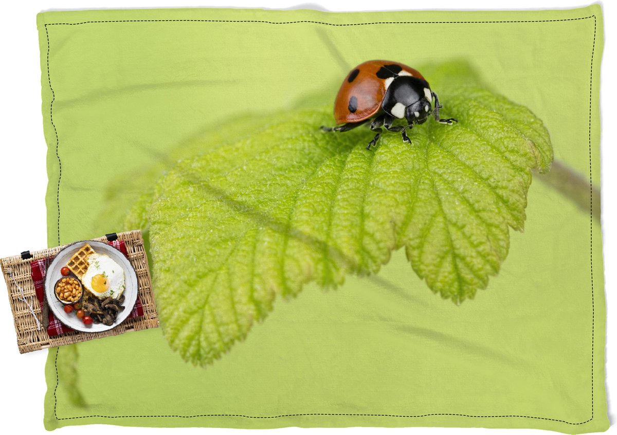 Picknickkleed - Buitenkleed - Lieveheersbeestje groen blaadje ...