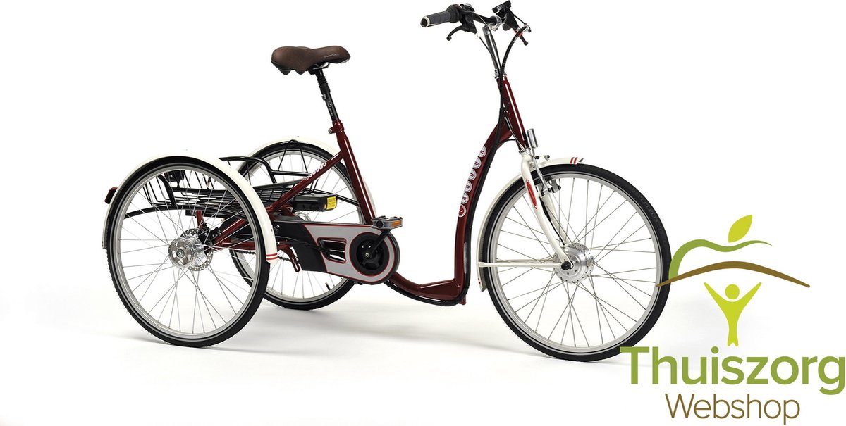 Moderne elektrische driewielfiets: 2219E Lagoon bordeaux met wit | bol.com