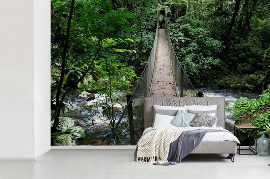 Mur de vinyle Papier peint photo - pont Wobbly sur Rio Novo largeur de ...