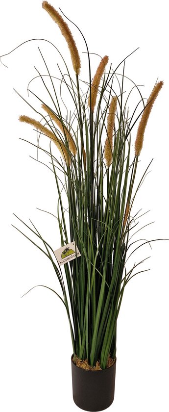 Kunst Pluimgras | 100cm - Namaak pluimgras - Kunstplanten voor binnen ...