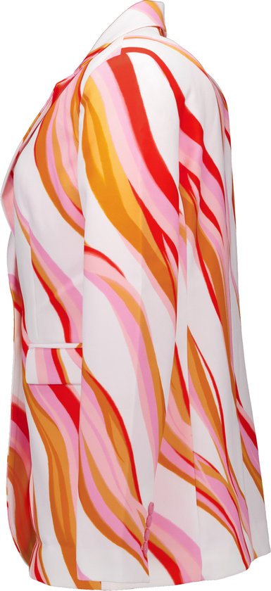 Blazer Multicolor blazers multicolor | bol