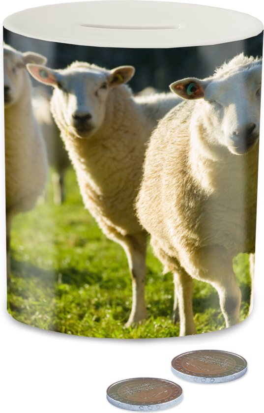 Spaarpot - Spaarblik - Schapen - Dieren - Wol - Spaarpotten ...