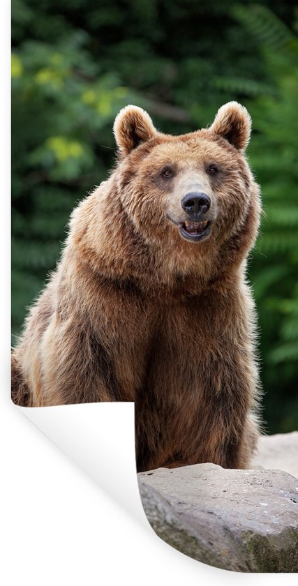 Muurstickers - Sticker Folie - Bos - Beer - Stenen - 80x160 cm ...