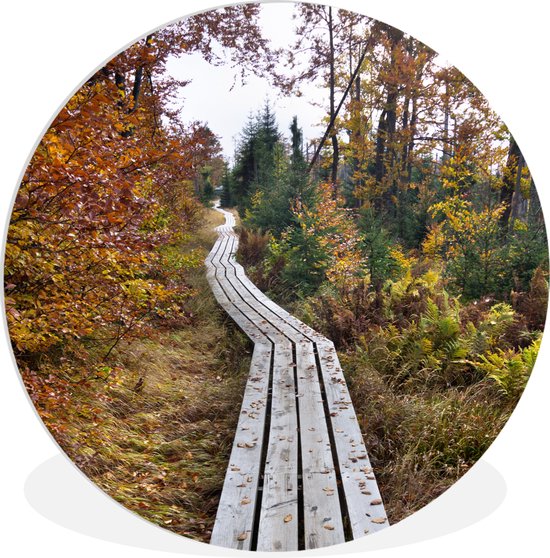 Houten loopbrug door het bos in het Nationaal Park Bayerischer Wald ...