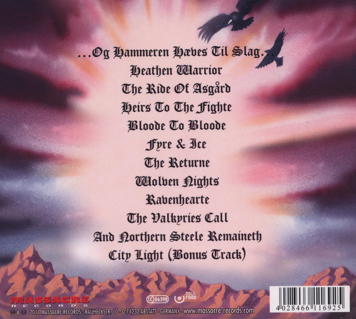Heathen Warrior -Ltd- - Stormwarrior, Storm Warrior | CD (album ...