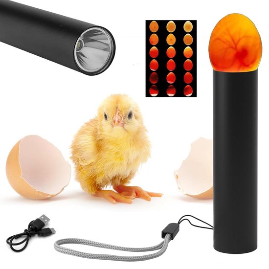 Scheerlamp voor eieren - led-licht met 3 modi - USB & accu ...