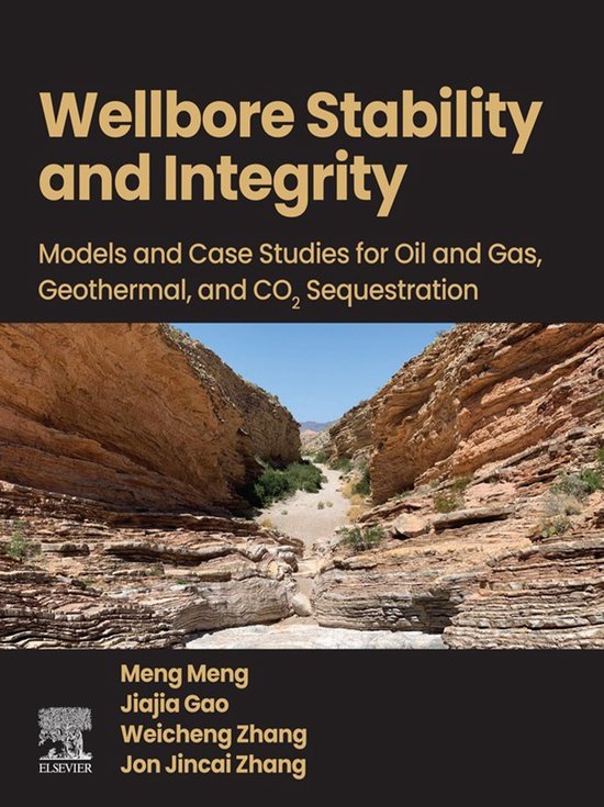 Wellbore Stability and Integrity (ebook), Meng Meng | 9780323995870 ...