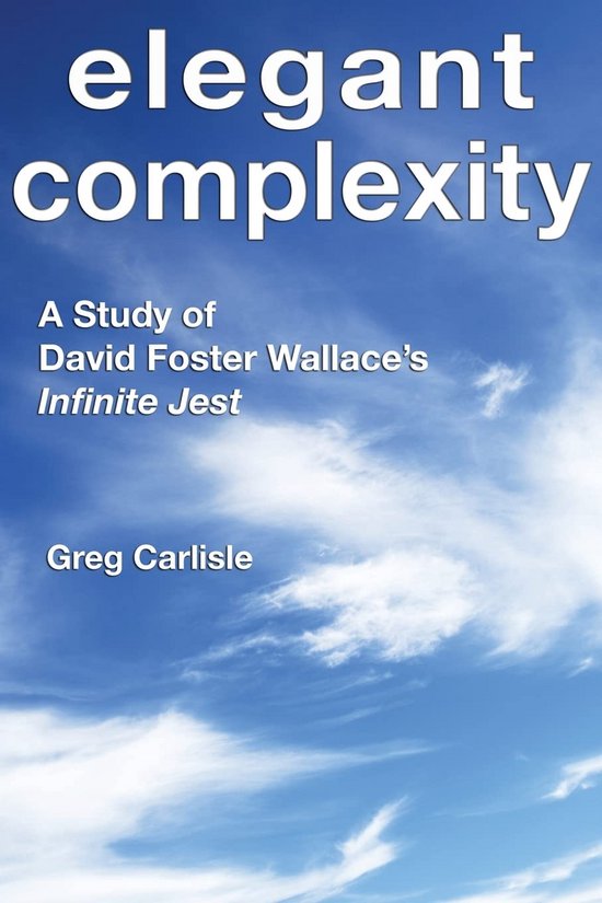 Diepgaande Analyse: Gids en Commentaar op David Foster Wallace's Infinite Jest |... | bol