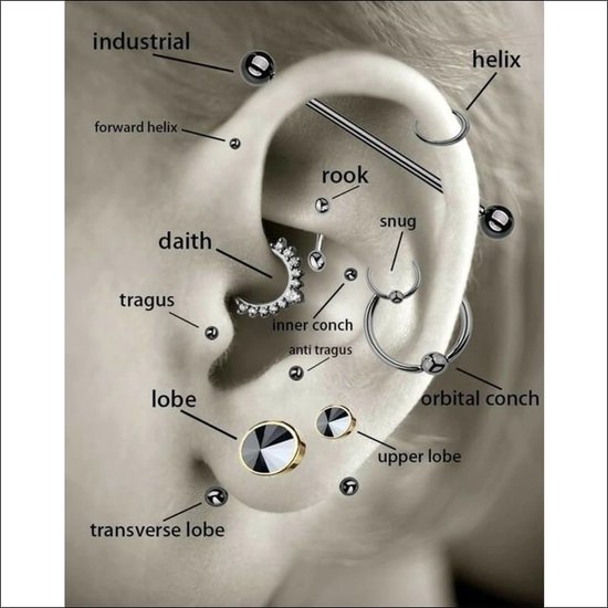 Helixpiercing tragus piercing met ketting | bol.com