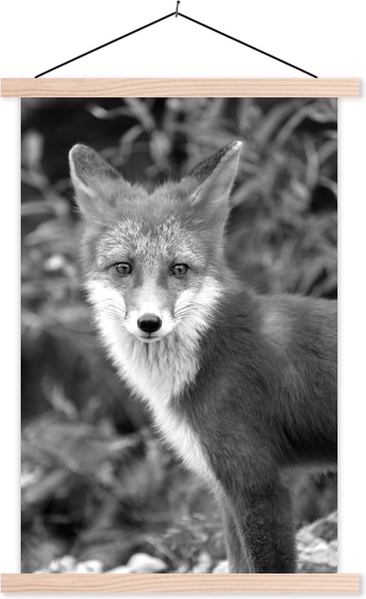 Portret van een vos in het bos - zwart wit | bol.com