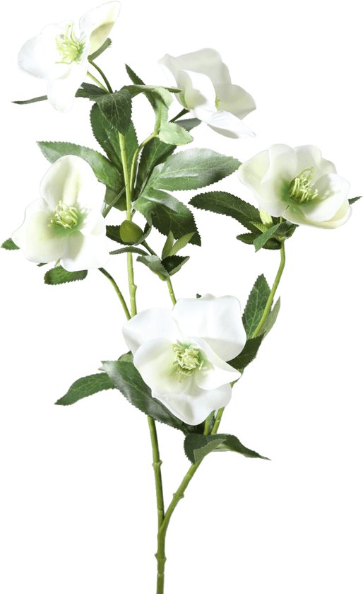 Viv! Home Luxuries Kerstroos Helleborus - kunstbloem - 74cm - wit ...