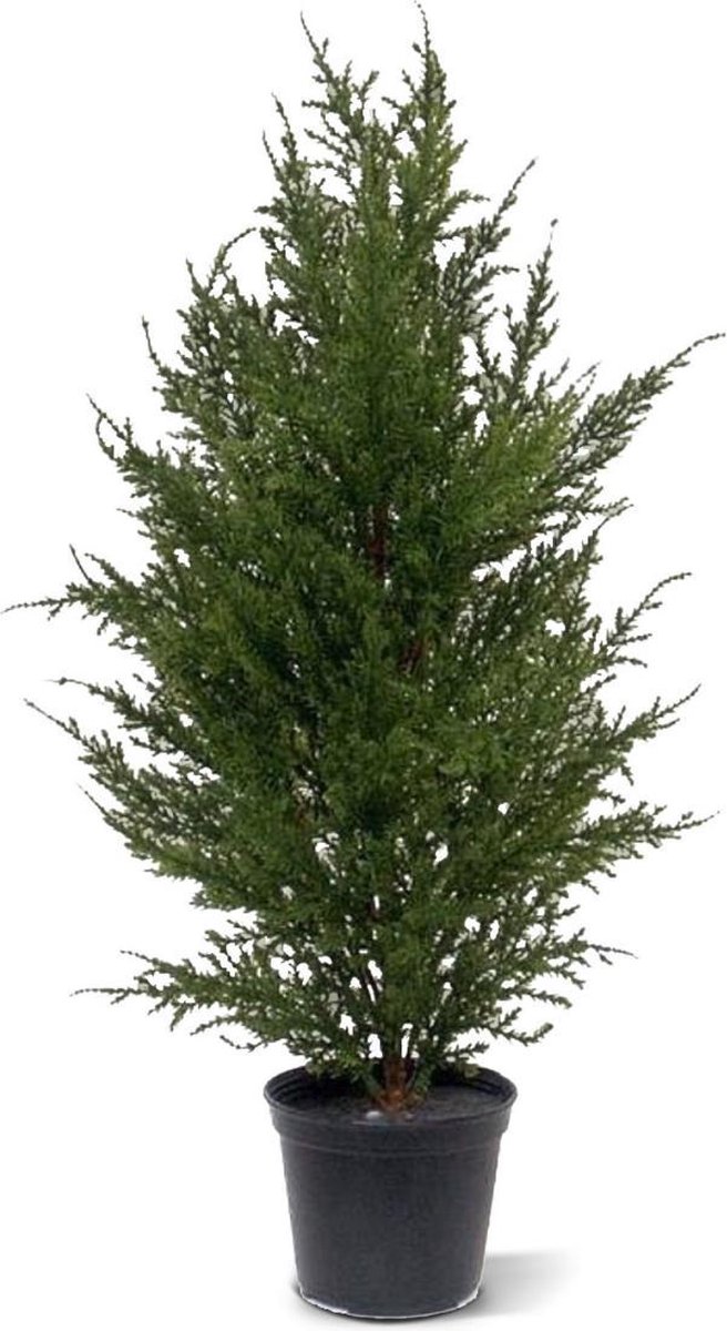 Conifeer kunstplant 50cm | bol.com