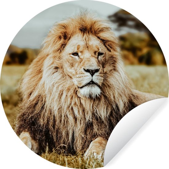 WallCircle - Muurstickers - Behangcirkel - Dieren - Wild - Bruin - 120x120 cm -... | bol.com