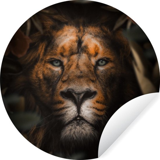 WallCircle - Muurstickers - Behangcirkel - Dieren - Leeuw - Jungle - 80x80 cm -... | bol