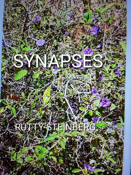 Synapses (ebook), Rutty Steinberg | 9781667440217 | Boeken | bol