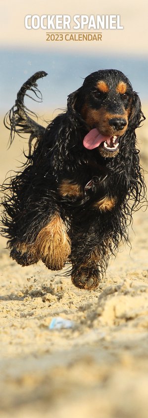 Engelse Cocker Spaniel Kalender 2023 Slimline | bol.com