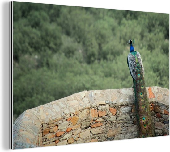 Wanddecoratie Metaal - Aluminium Schilderij - Pauw - Muur - Bos - 90x60 ...