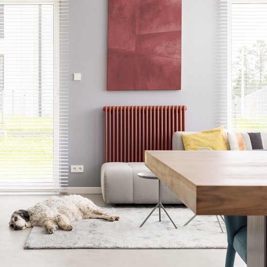 Rust-Oleum Rode Radiatorverf - Zalm 750ml | bol.com