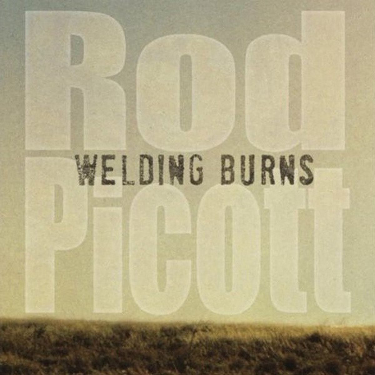 Rod Picott - Welding Burns (CD), Rod Picott | CD (album) | Muziek | bol