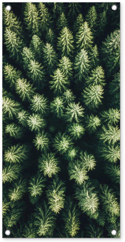 Tuinposter 40x80 cm - Tuindecoratie Bomen - Naaldwoud - Structuur ...