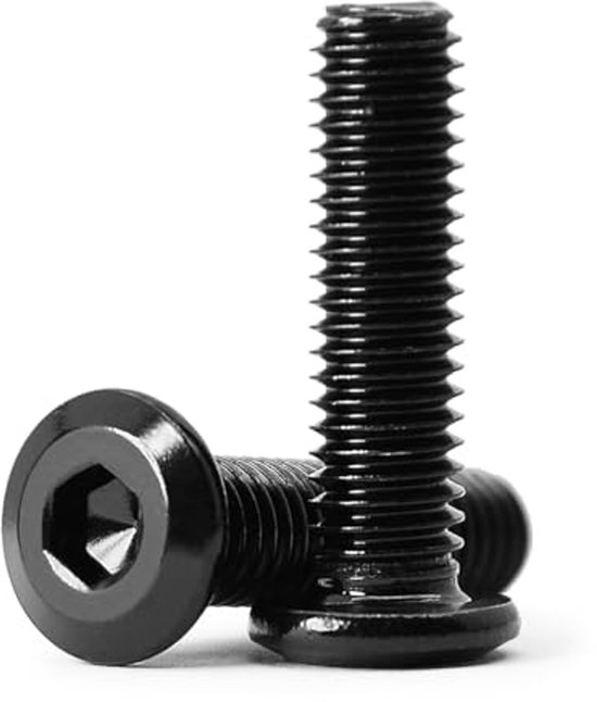 M5 x 40 mm platte kop inbusschroef 304 roestvrij staal zwart oxide | bol