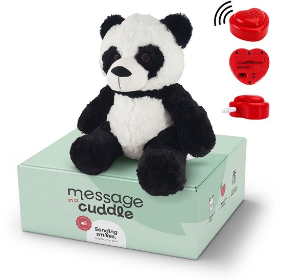 Knuffel met jouw ingesproken bericht [MP3 + Microfoon] | Panda knuffel ...