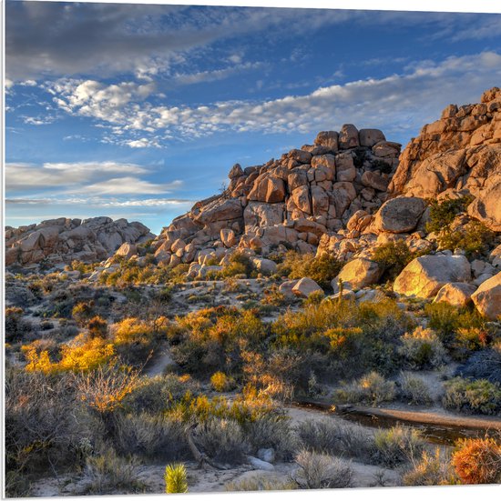 PVC Schuimplaat - Rotsen onder de Blauwe lucht bij Barker Dam - 80x80 ...