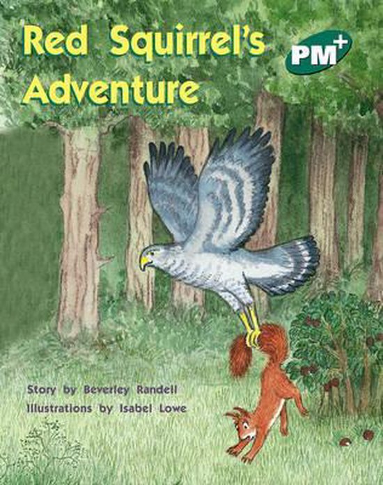 Red Squirrel's Adventure, Beverley Randell | 9780170097239 | Boeken | bol