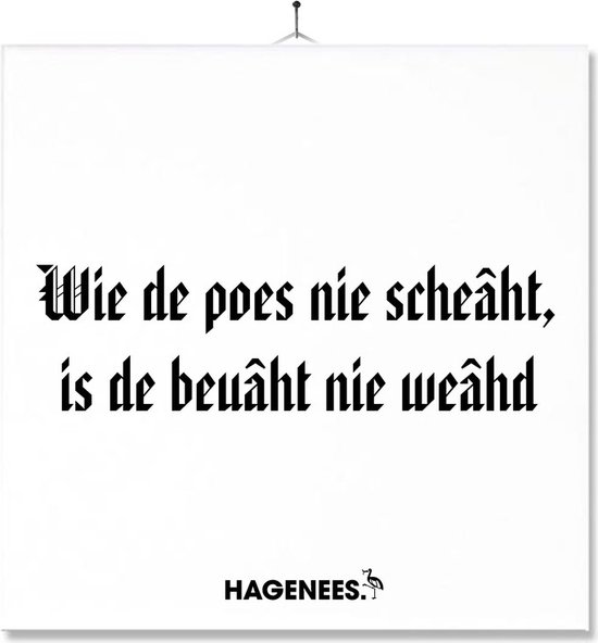 Tegel Met Opdruk | Haagse tekst | bol