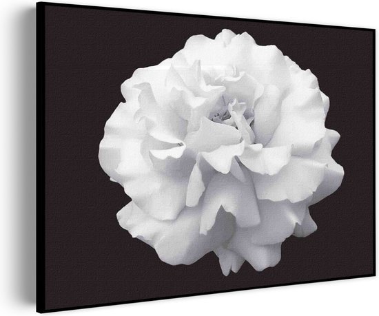 Akoestisch Schilderij Witte Anjer Rechthoek Horizontaal Basic L (100 x ...